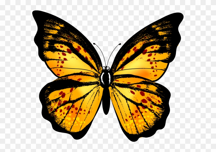 Content - Per Aspera Ad Astra [book] - Free Transparent PNG Clipart ...